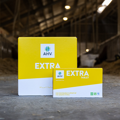 Product: AHV Extra Tablet 10 stuks